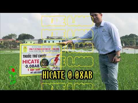 Thuốc trừ chuột thế hệ mới Hicate 0.08AB - YouTube