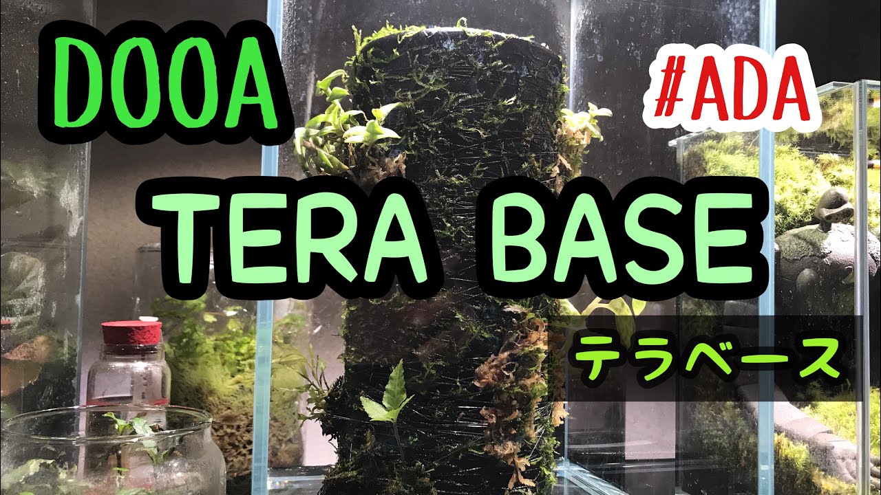DOOAのTERRA BASE(テラベース)を作りました。 - YouTube