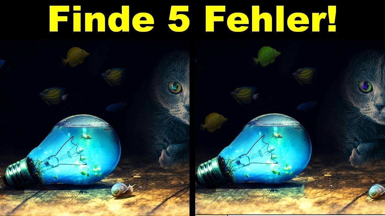 Finde Den Fehler Schwer Fehler Debeste Lustig - AusmalbilderFurKinder.de