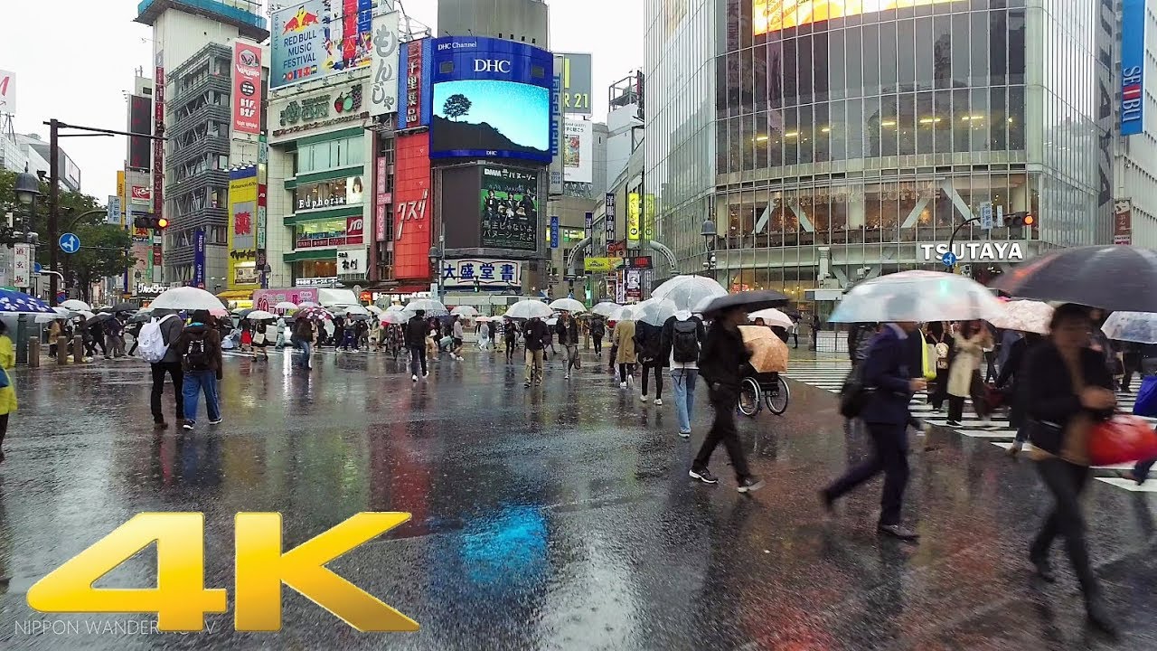 Walking around Shibuya, Tokyo in the rain - Long Take【東京・渋谷】 4K - YouTube