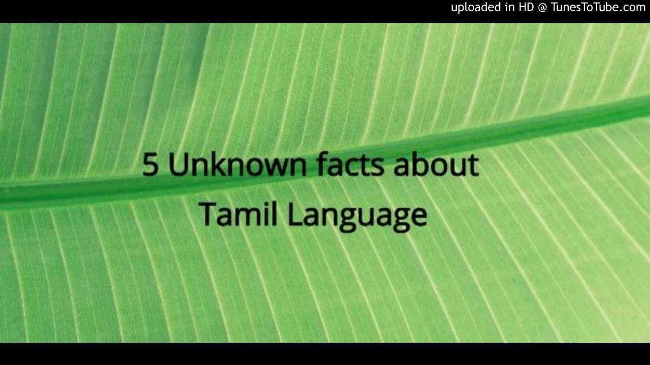 5 unknown facts about Tamil Language - YouTube