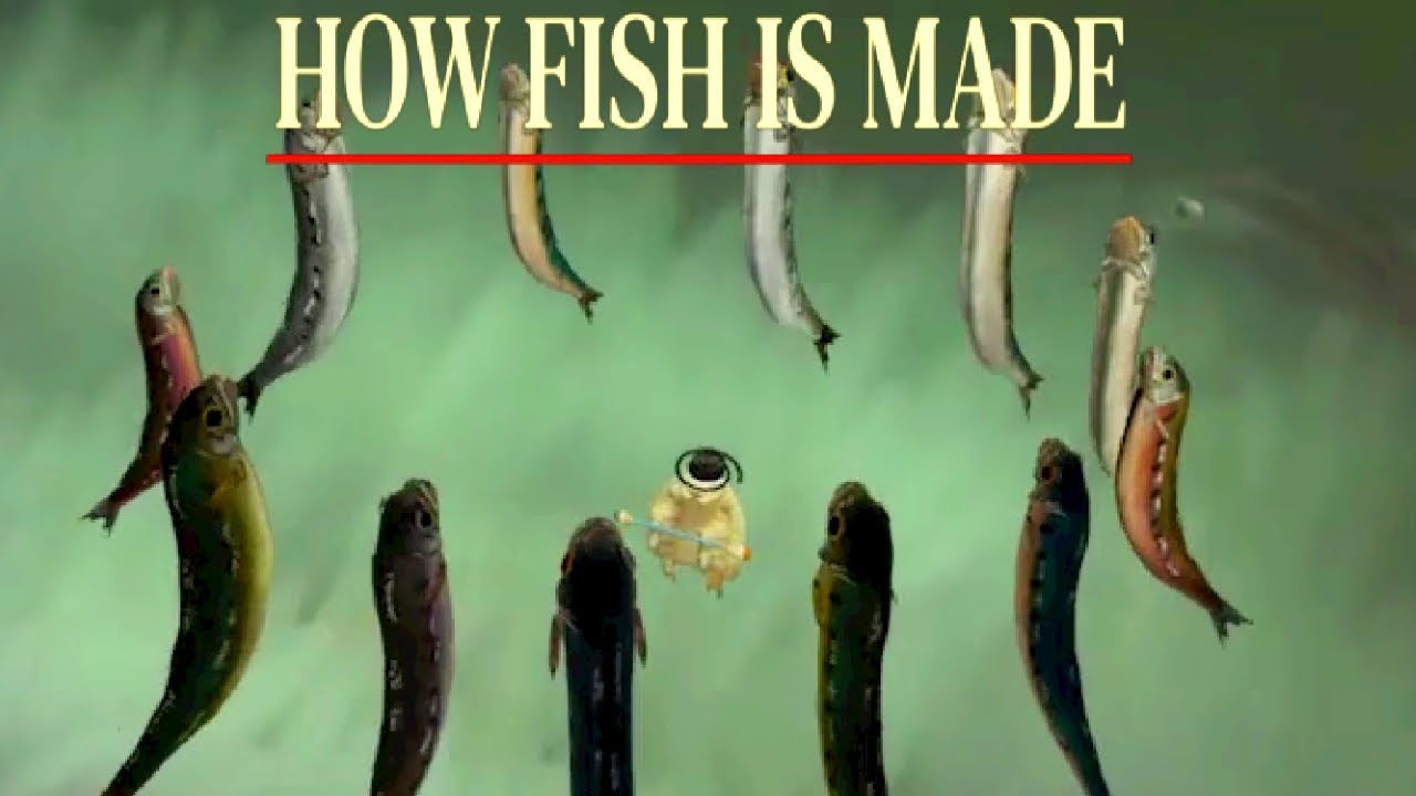 How Fish Is Made - YouTube