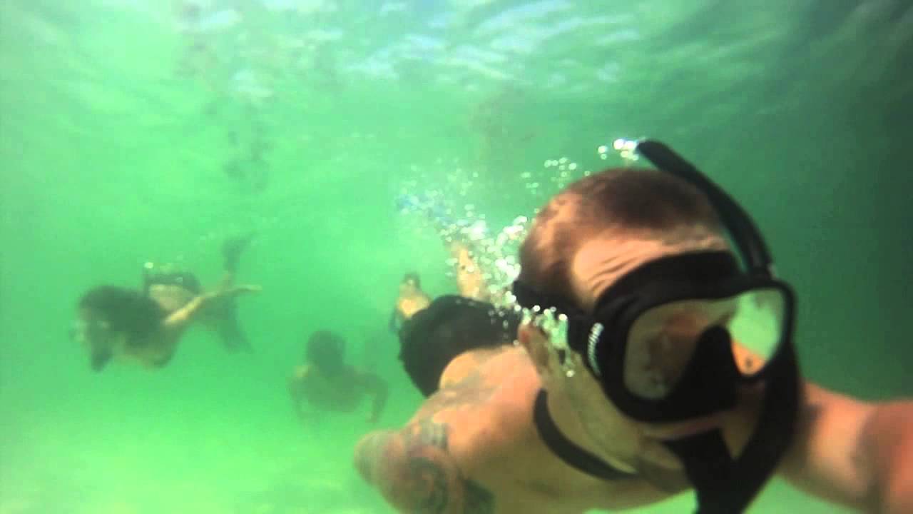 Destin, FL - Barracuda, Amberjack, Flounder, Spadefish - Snorkeling ...
