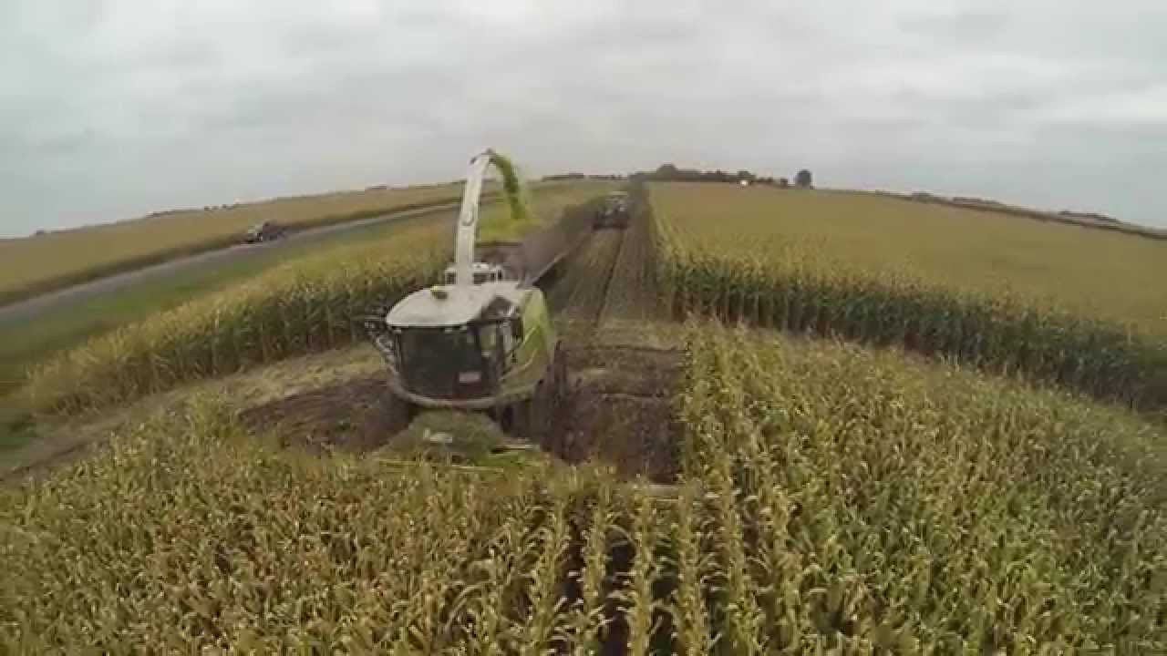 CY Harvesting, Silage 2014 - YouTube