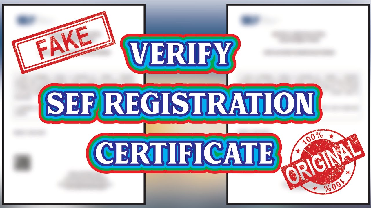 VERIFY SEF CERTIFICATE HOW TO VERIFY SEF REGISTRATION CERTIFICATE IN verify-sef-certificate-how-to-verify-sef-registration-certificate-in