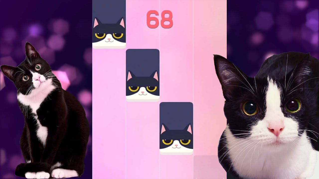 Magic Cat Piano Tiles - Dance of Death - YouTube