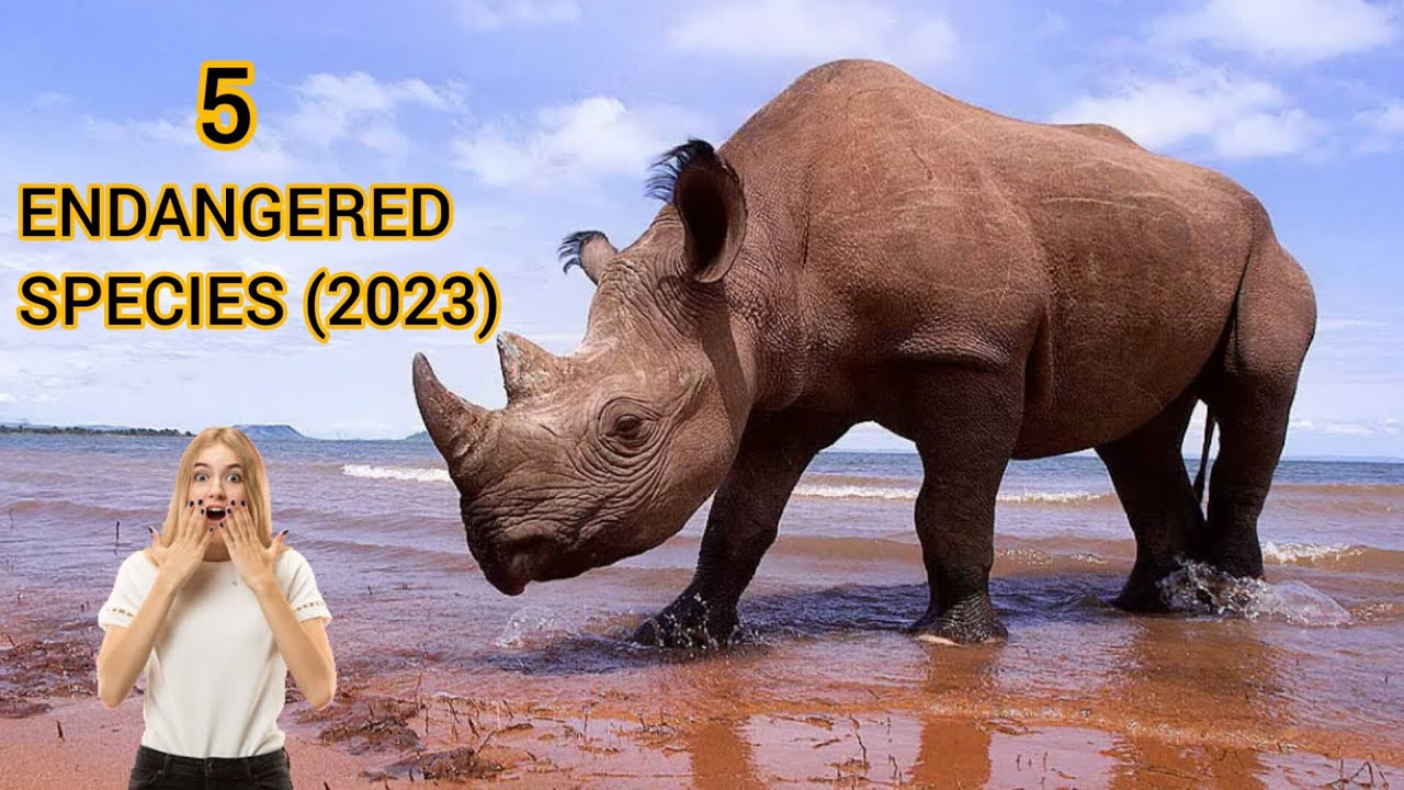 ANIMALS in danger of EXTINCTION in 2023 - YouTube