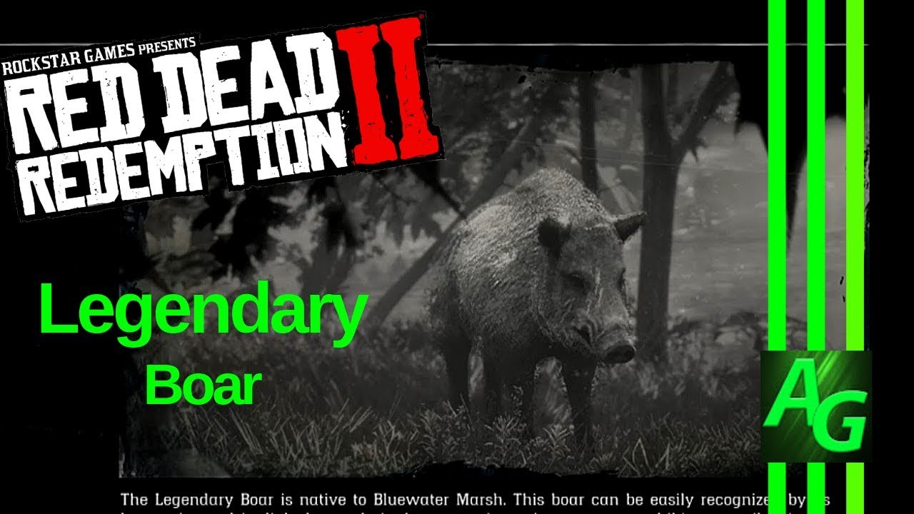 Red Dead Redemption 2 Legendary Boar location - YouTube