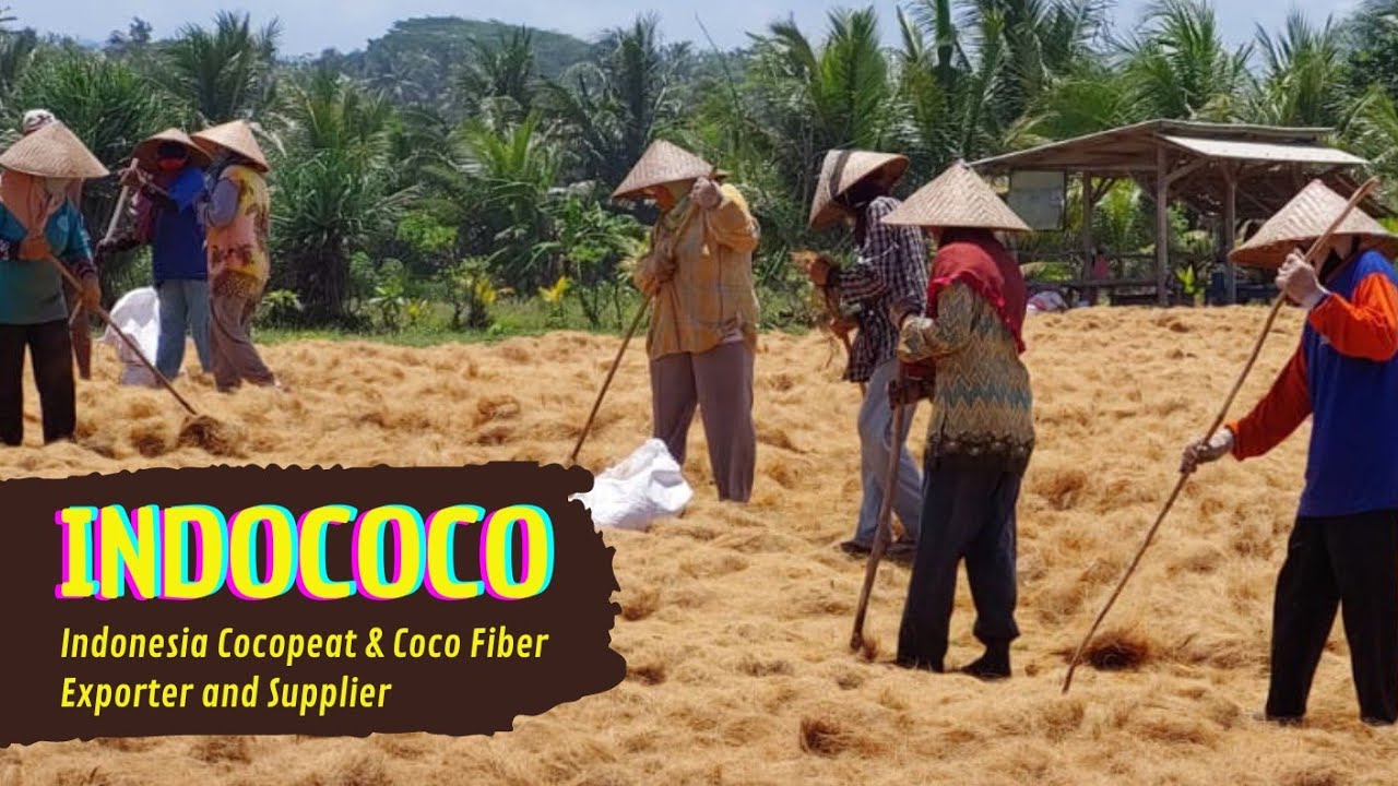 How Cocopeat is Made in Our Factory | Step-by-Step Process - Indococo ...