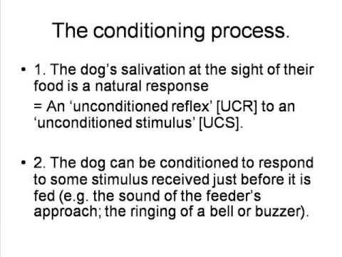 Behaviourism 2: Ivan Pavlov - YouTube