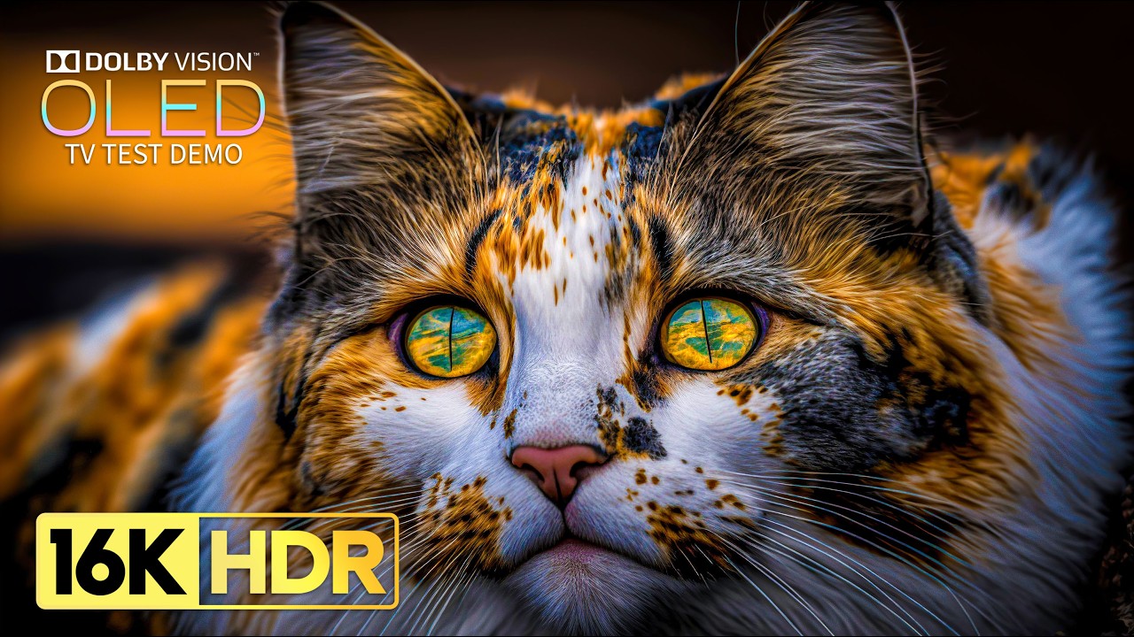 Incredible Dolby Vision 16K HDR 120FPS (8K/4K TV) - YouTube