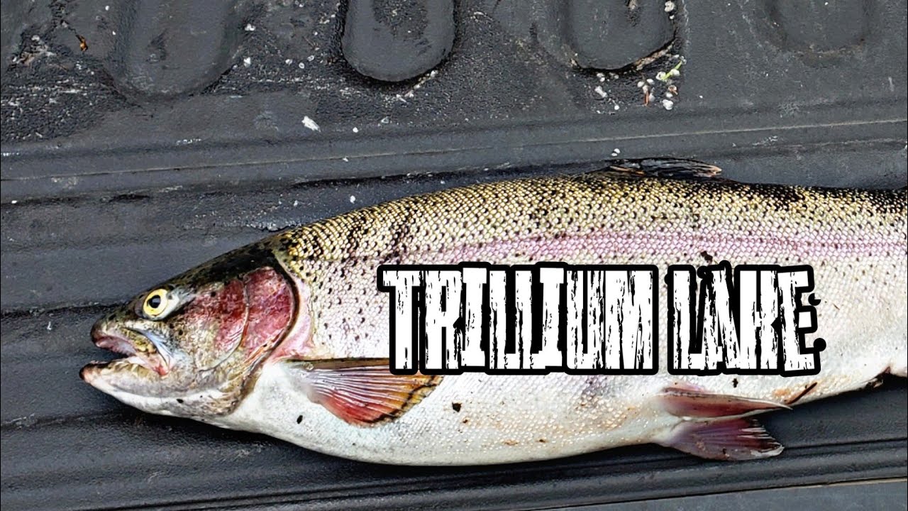 Clouds, Mud and Trout - YouTube
