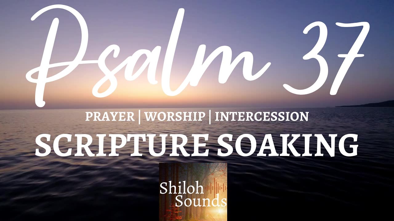 Psalm 37 Instrumental Scripture Soaking Prayer Worship 4K - YouTube
