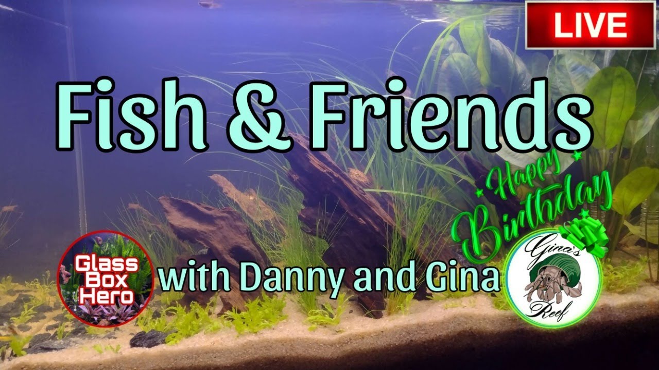Fish & Friends with Gina and Danny | Season 3, Episode 6 IT'S MY ...