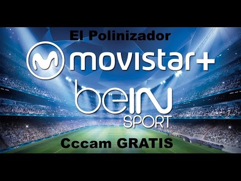 Programa CCcam C-Lines GRATIS Muy fácil - YouTube