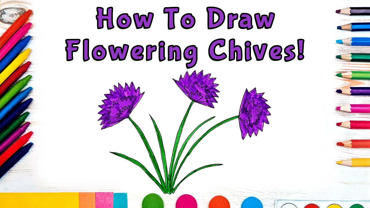 How To Draw A Flowering Chives Plant! (Art For Kids!) Easy Step By Step ...