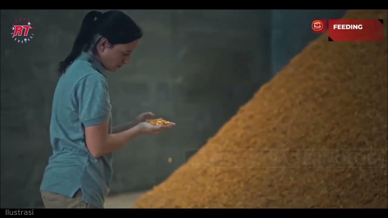 PERENCANAAN-BISNIS PETERNAKAN SAPI PERAH_TUGAS MK PROYEK KOMPREHENSIF PETERNAKAN UMBY_2023_PT ...