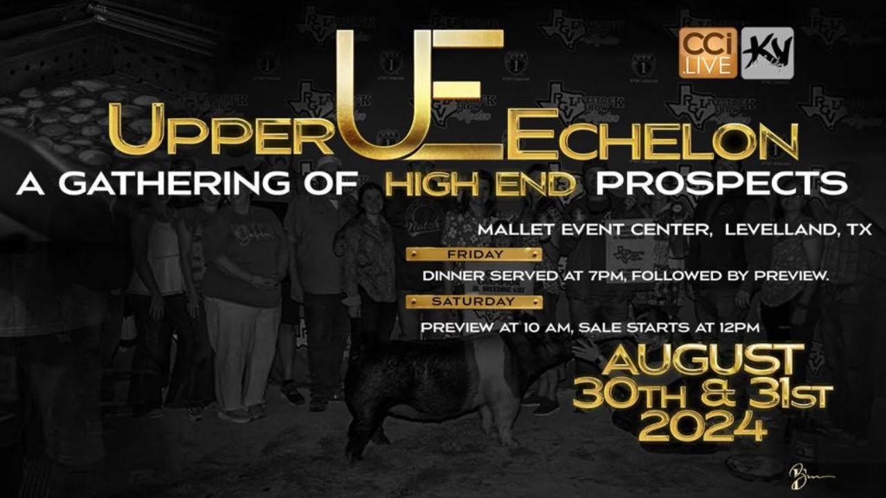 The Upper Echelon Preview - YouTube