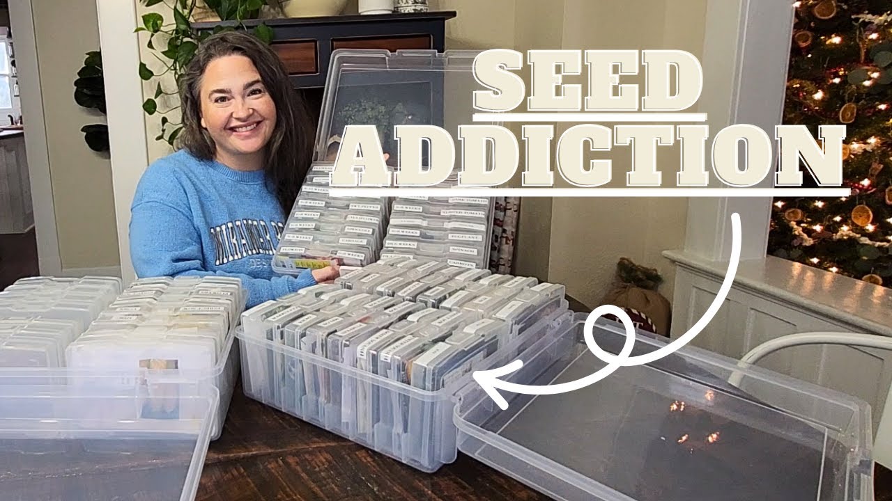 Seed Organization + My Favorite Seed Varieties - YouTube