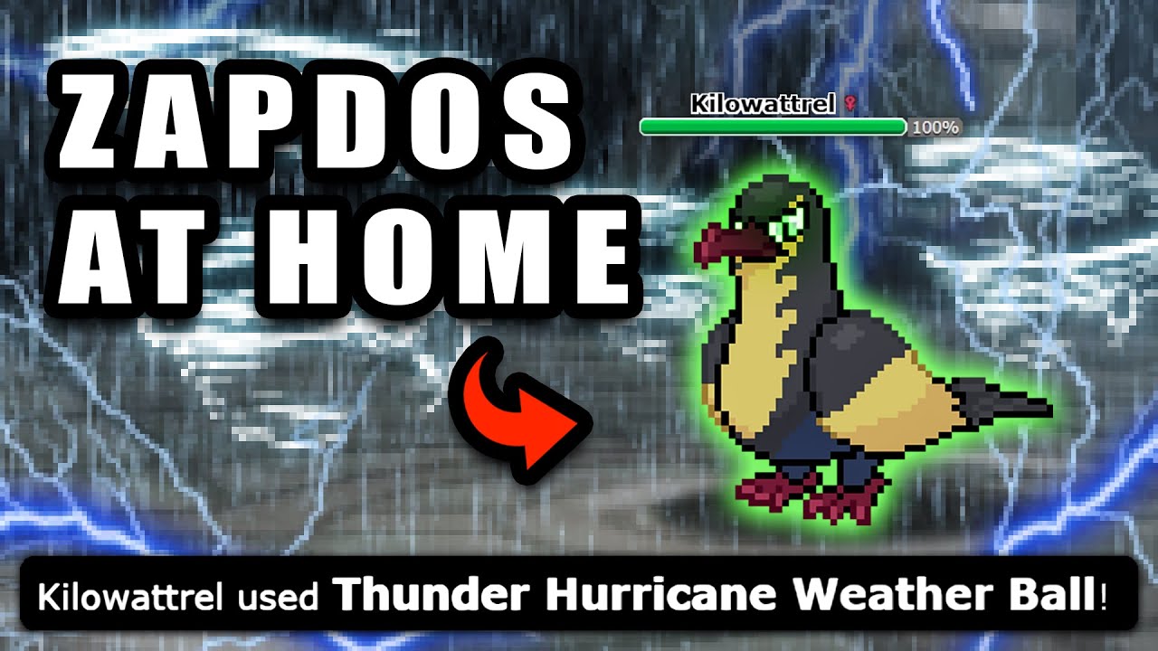 Paldea's "Regional Bird" Is Basically Zapdos - YouTube