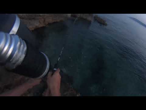 BaRaKuDa PeŞiNDe 9  (Pursuit of Barracuda)