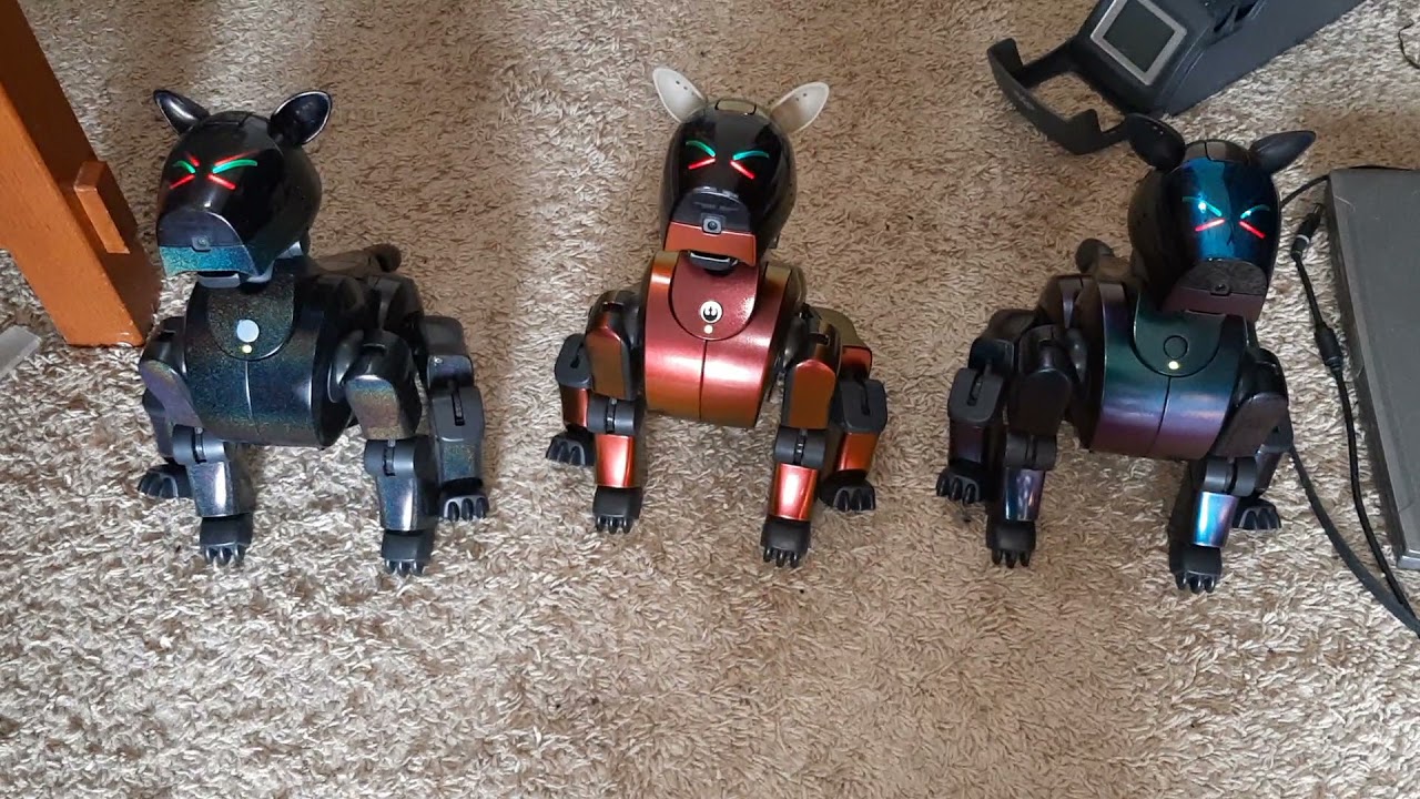Dancing Custom Aibo ERS 210s - YouTube