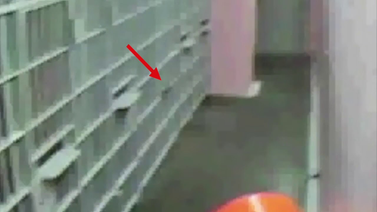 Video evidence in the death of Pamela Riddick - YouTube