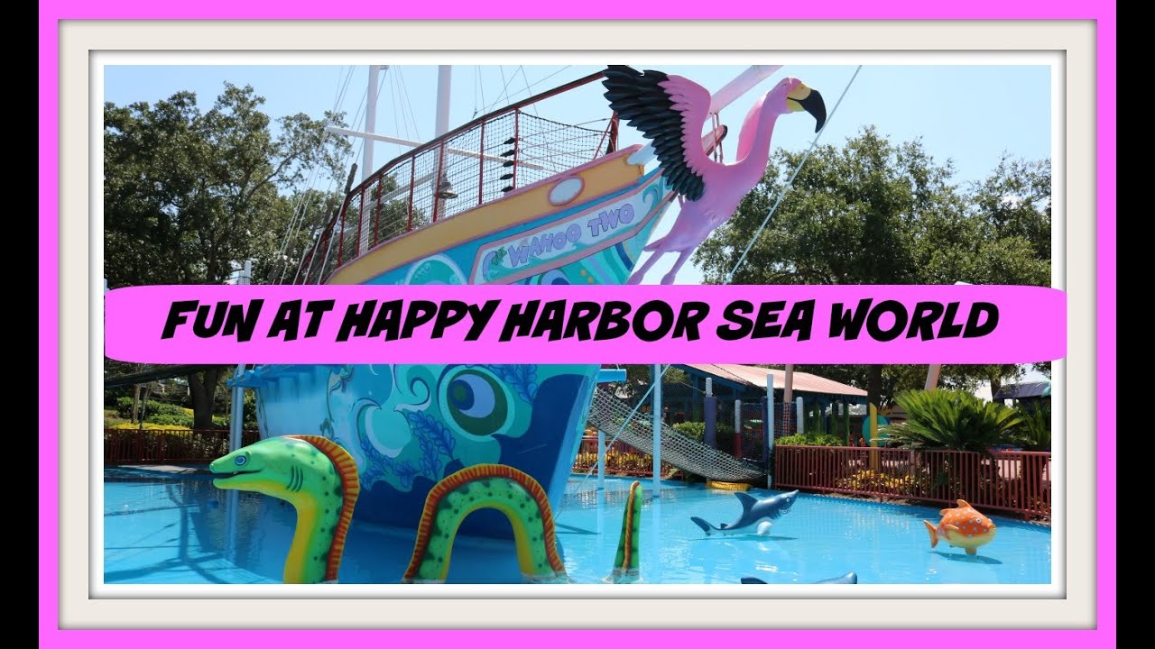 SEA WORLD HAPPY HARBOR :) - YouTube