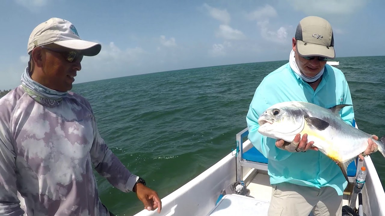 Permit: Caught in Belize using live blue crab - YouTube
