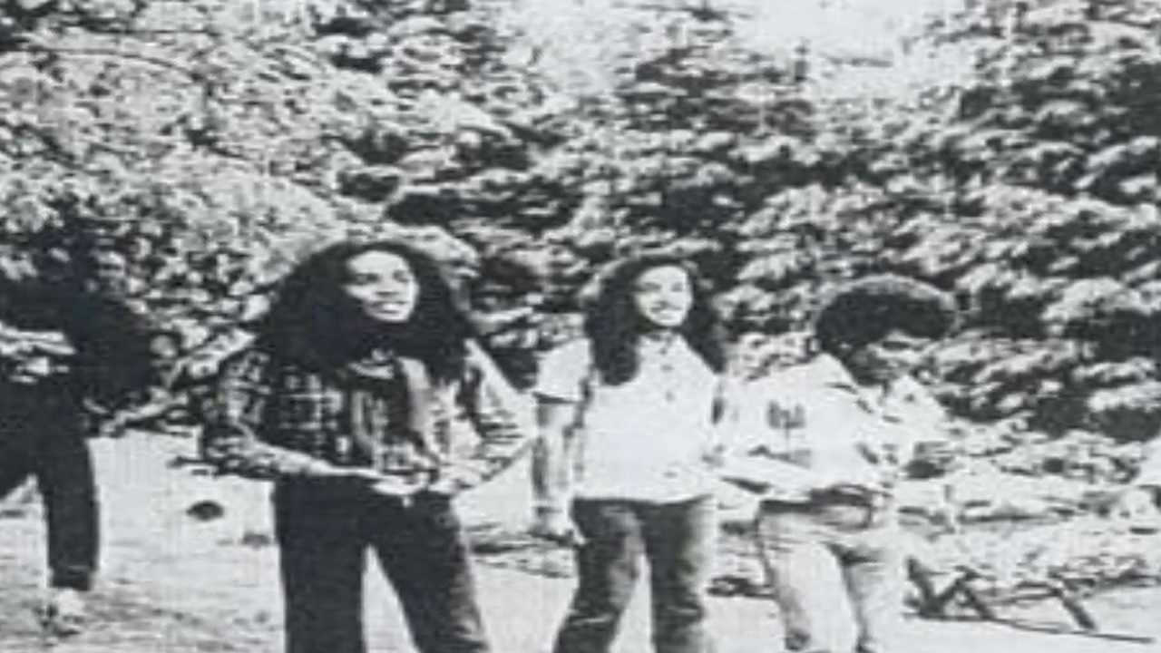 FRAGILE - Sweet Introspect - 76 - YouTube