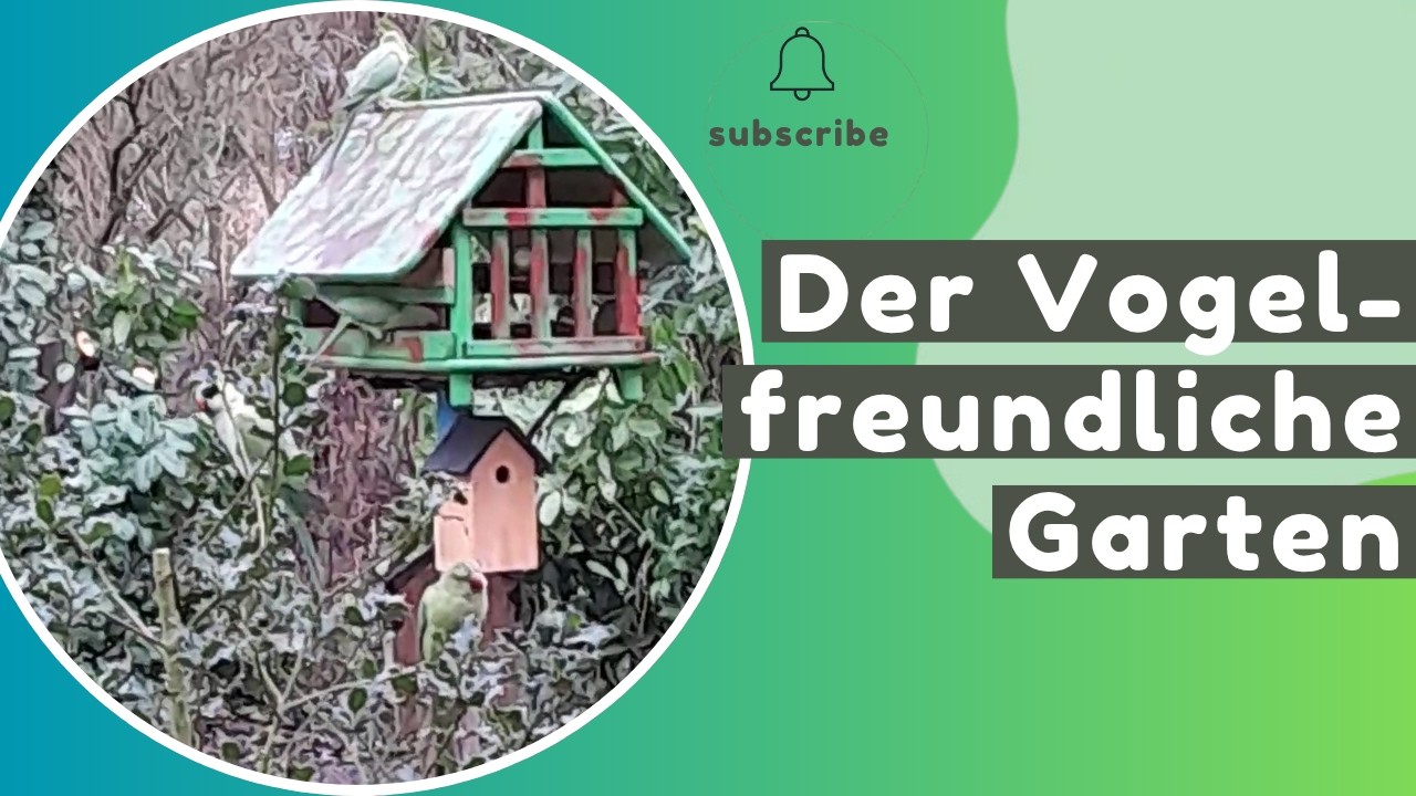 Wie wird dein Garten wird zum Vogel-Paradies? 🌻 3 Schritte für ...