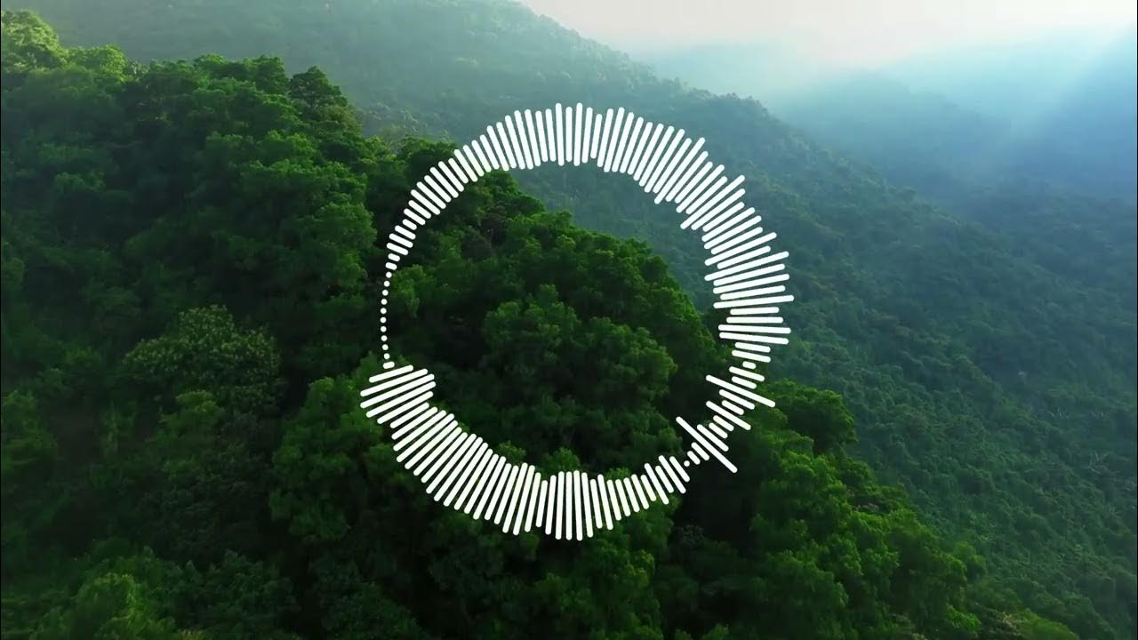 Ambient Indigenous Experimental Background Music | Soundtrack, Tribal ...