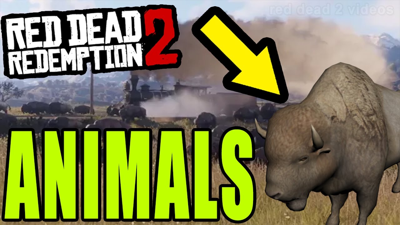 Red Dead Redemption 2 - Pets & Animals! (Red Dead 2 Online Animals ...