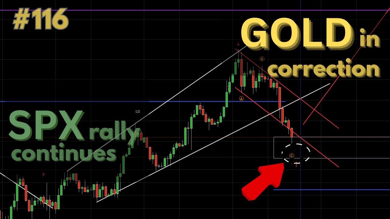 116. Gold in correction | SPX rally continues | Trading Opportunities ...