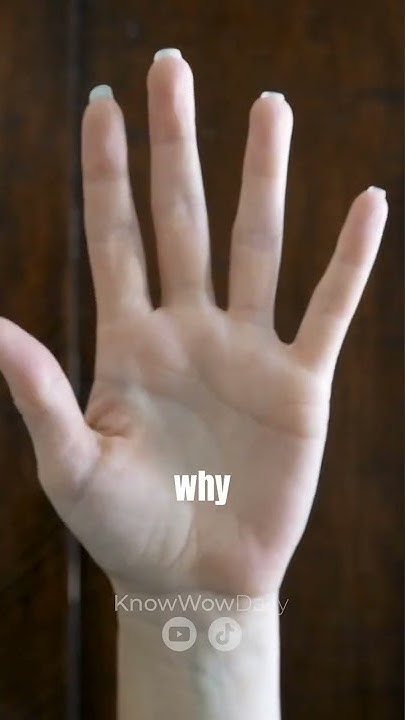 👉 Why Are Some People Left-Handed? 🖐️ #Science #BrainFacts - YouTube