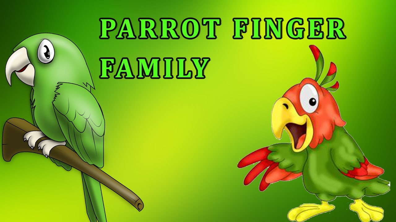 Parrot | Animal Finger Family - YouTube