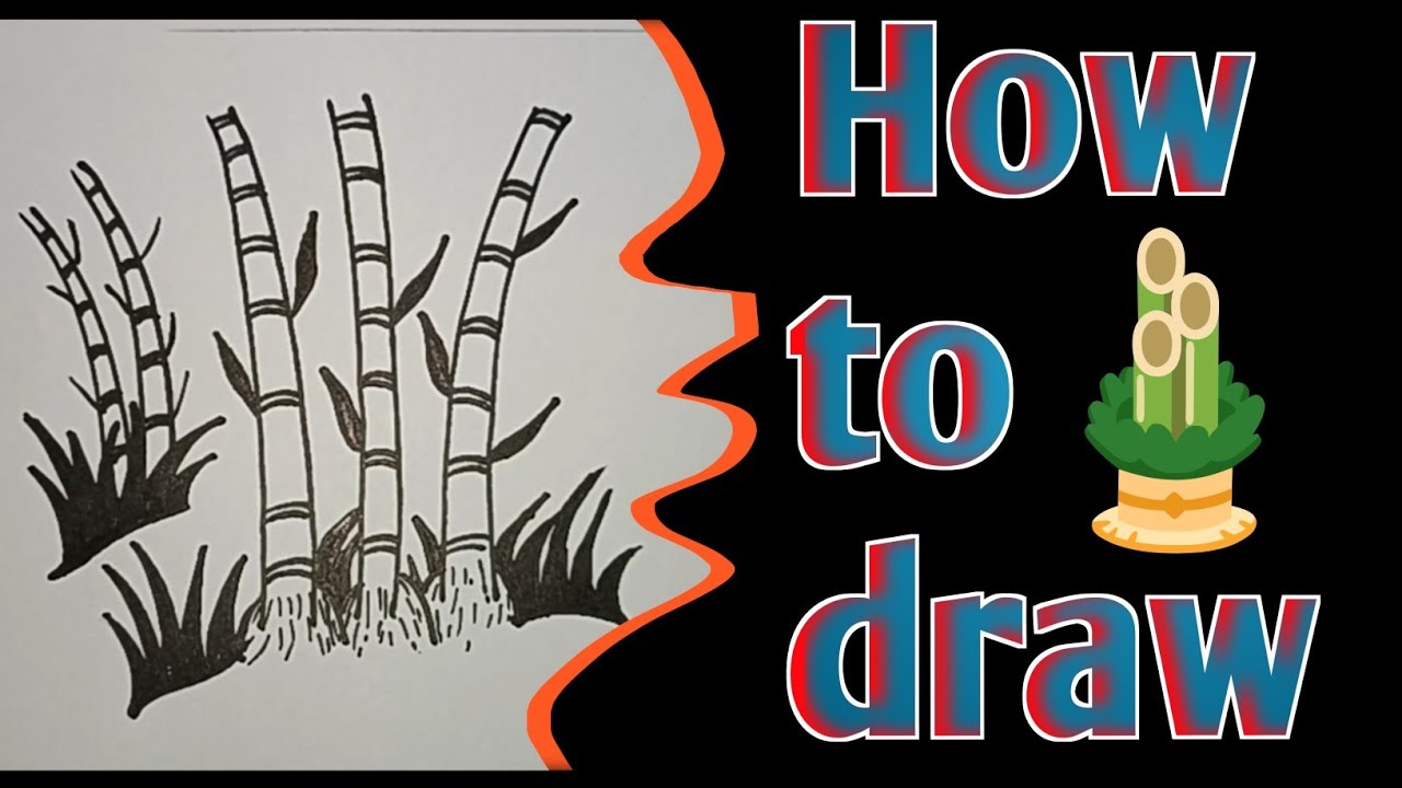 bamboo 🎍 tree drawing | how to draw bamboo tree - YouTube