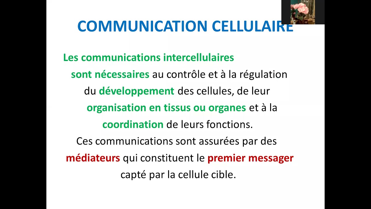 Communication cellulaire - YouTube