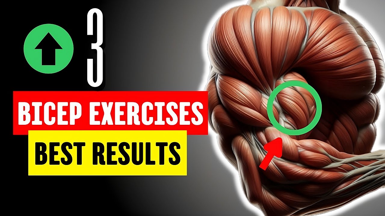 ONLY 3 MANDATORY EXERCISES to GROW your BICEPS (HYPERTROPHY ...