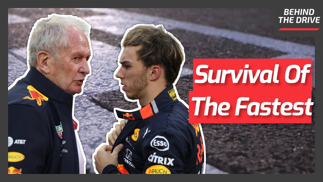 Is The Red Bull Driver Academy Good Or Bad For Formula 1? - YouTube