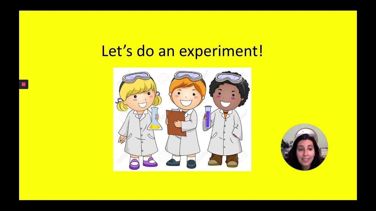 Scientists Do Experiments: Lesson 4 - Kindergarten Science -Scientists ...