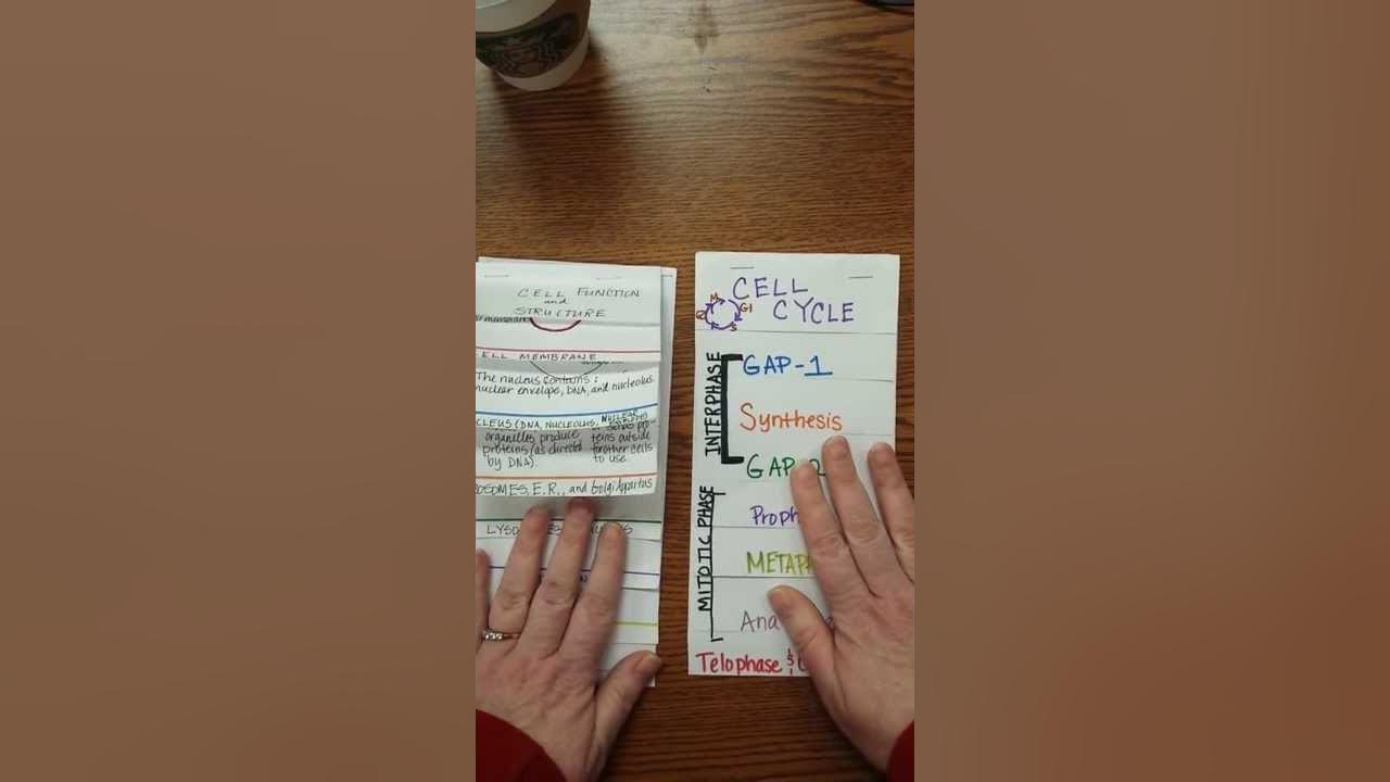 Easy Flip Book Tutorial - YouTube