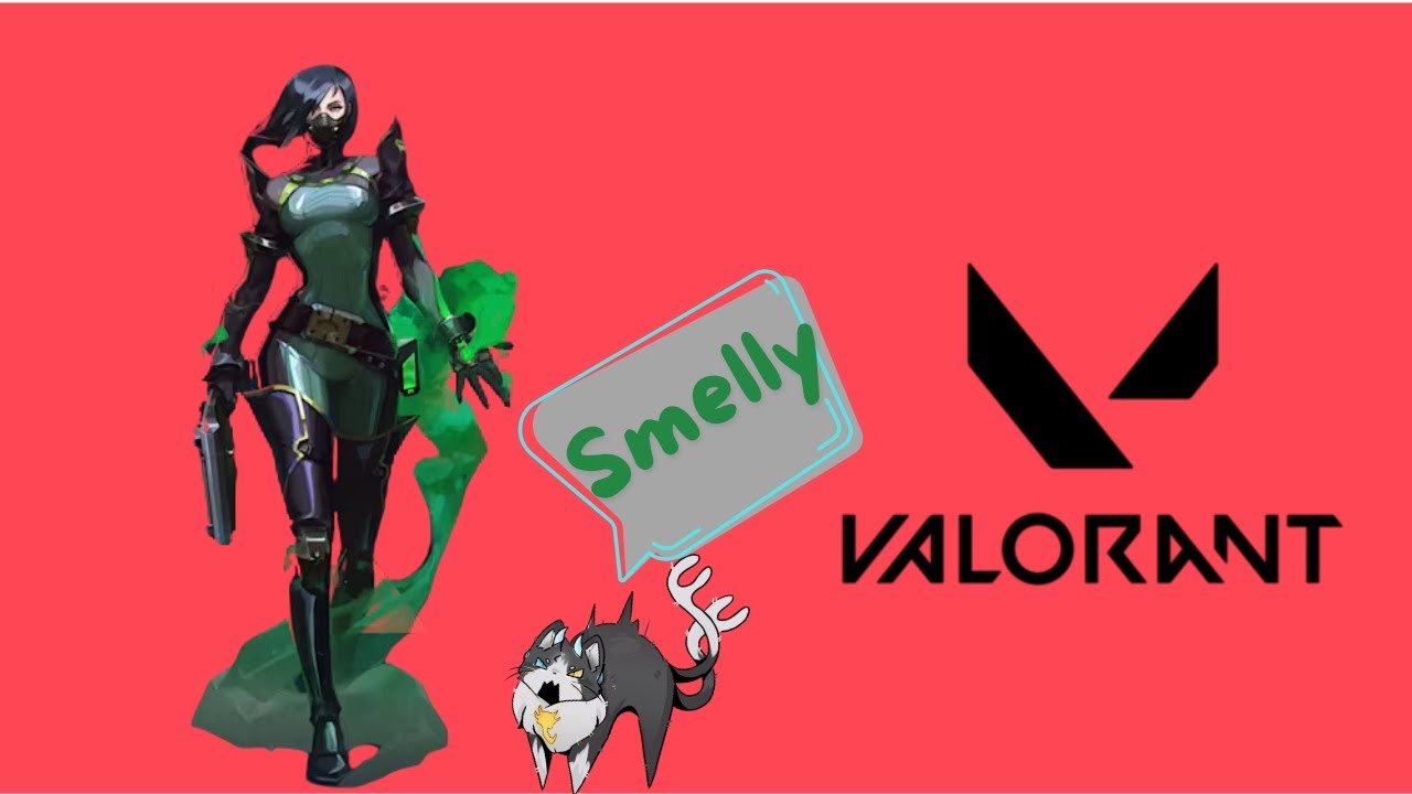 Valorant - AFK Wins us the game!?! - YouTube