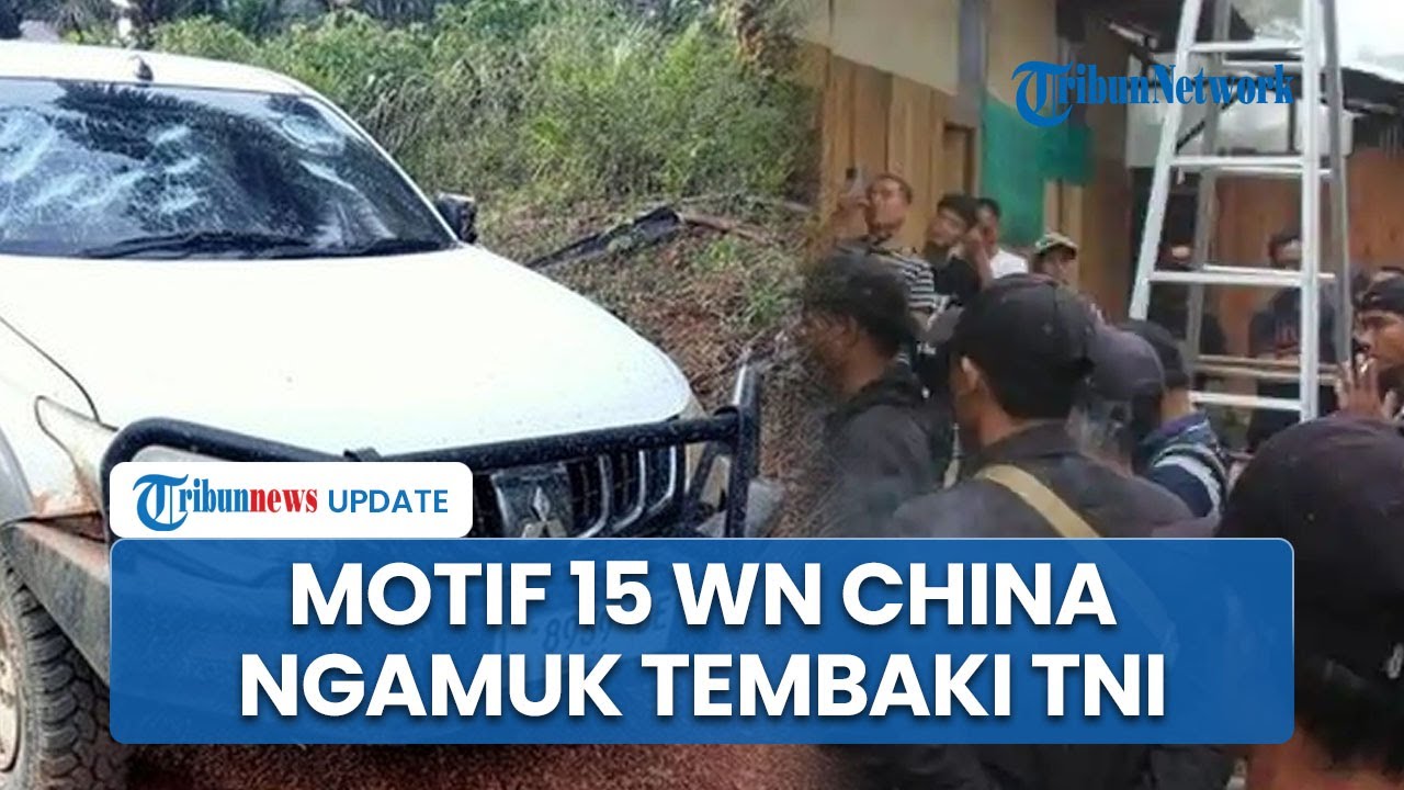 Aksi Barbar 15 WN China Serang TNI di Area Tambang Emas Ketapang Pakai ...