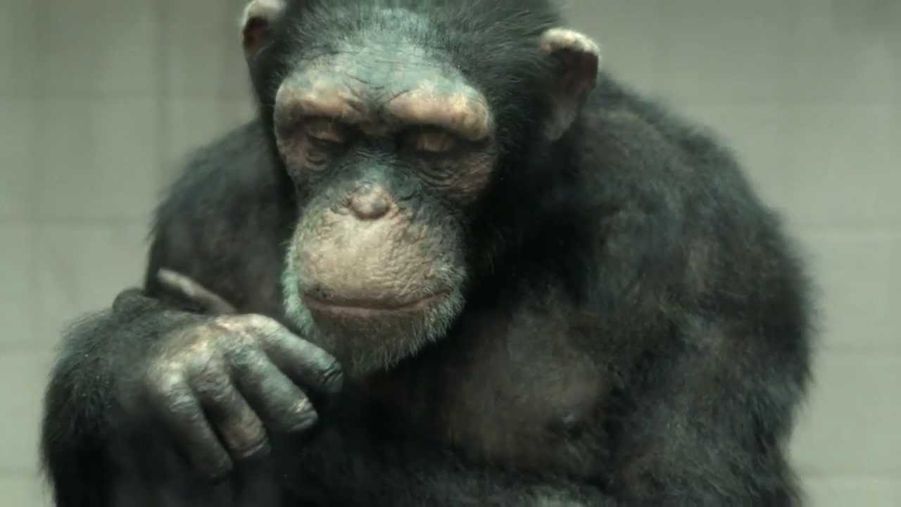 Behind the Scenes of '98% Human'(documentary) - YouTube