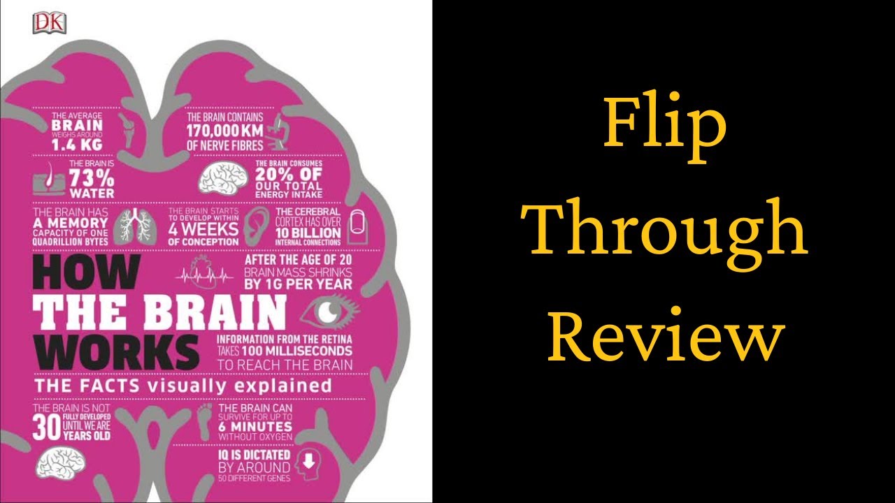 How the Brain Works: The Facts Visually Explained (How Things Work ...