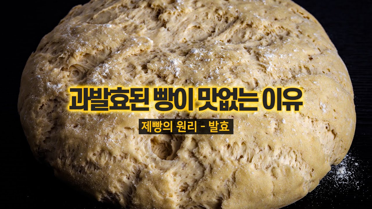 빵 만드는데 적절한 발효가 중요한 이유를 정확히 알아보자 제빵의 원리 Youtube