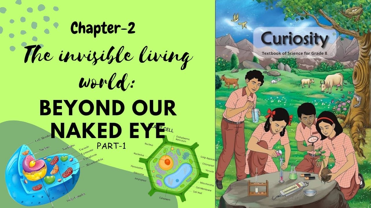 chapter-2 The invisible living world: Beyond Our Naked Eye | Curiosity ...