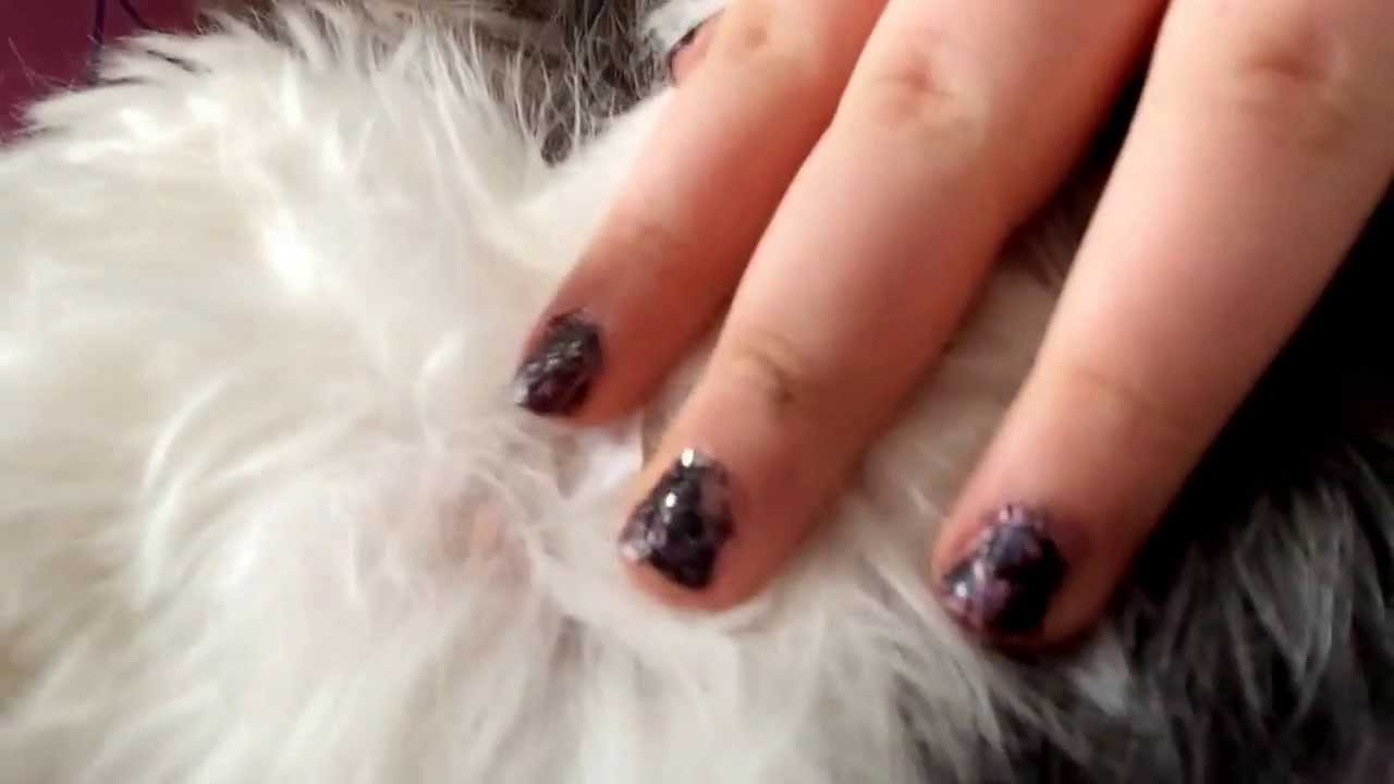 Strange Lump On My Dog YouTube strange-lump-on-my-dog-youtube