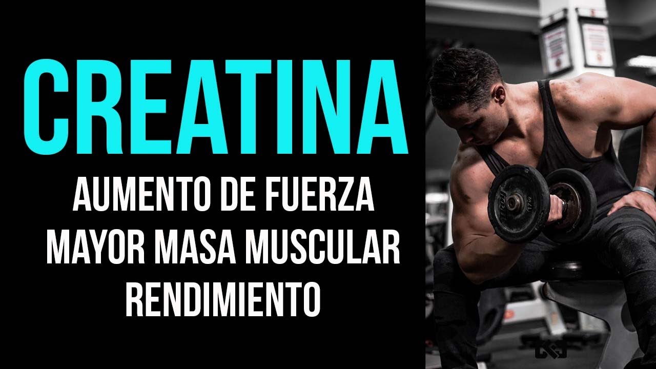 Todo sobre la creatina - YouTube